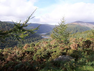 Smaointe Fánacha Aonghusa: Scíth mo throithe...