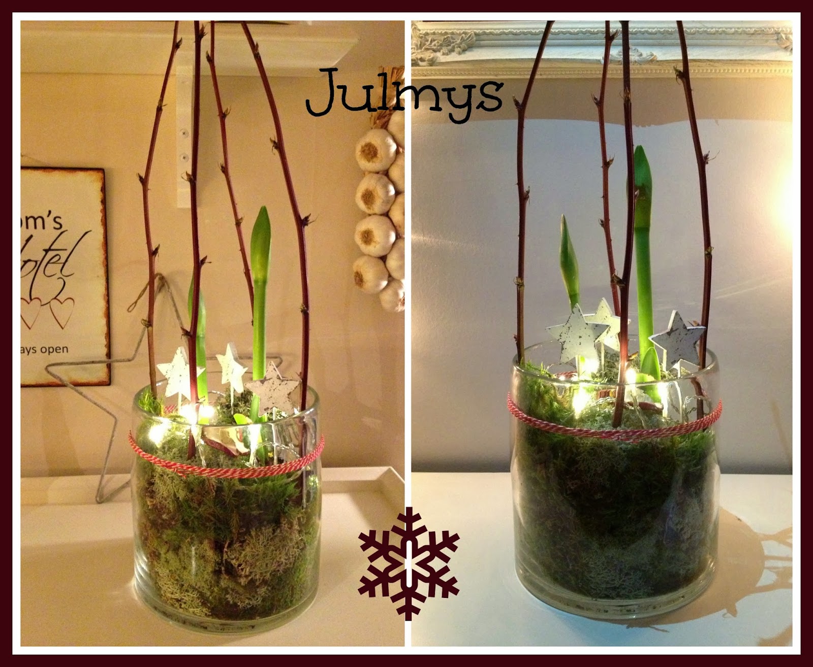 Linda´s Goda: Julmys med amaryllis