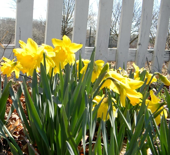 SWAC Girl: First day of spring: Virginia outdoor getaways