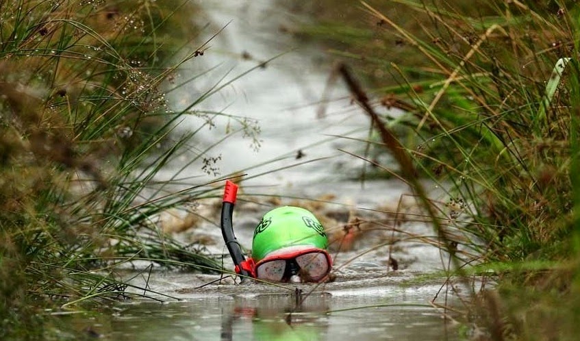 Championship Swimming ~ Nature Conservancy