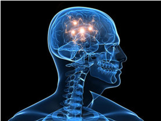 NERVOUS SYSTEM DISORDERS | Bentham Science