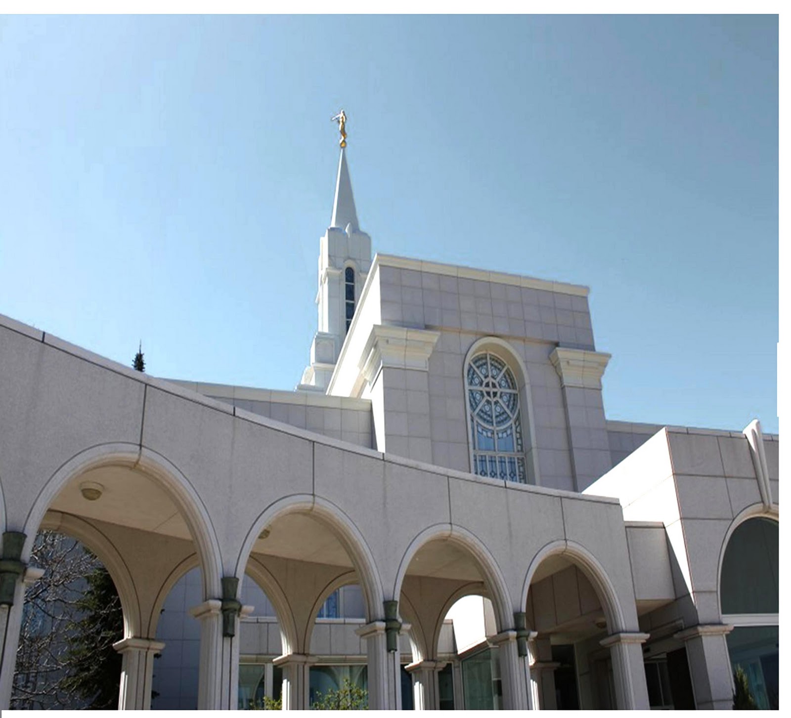 Elder JJ Simonsen: Elder Simonsen- Just completed his first year in the ...