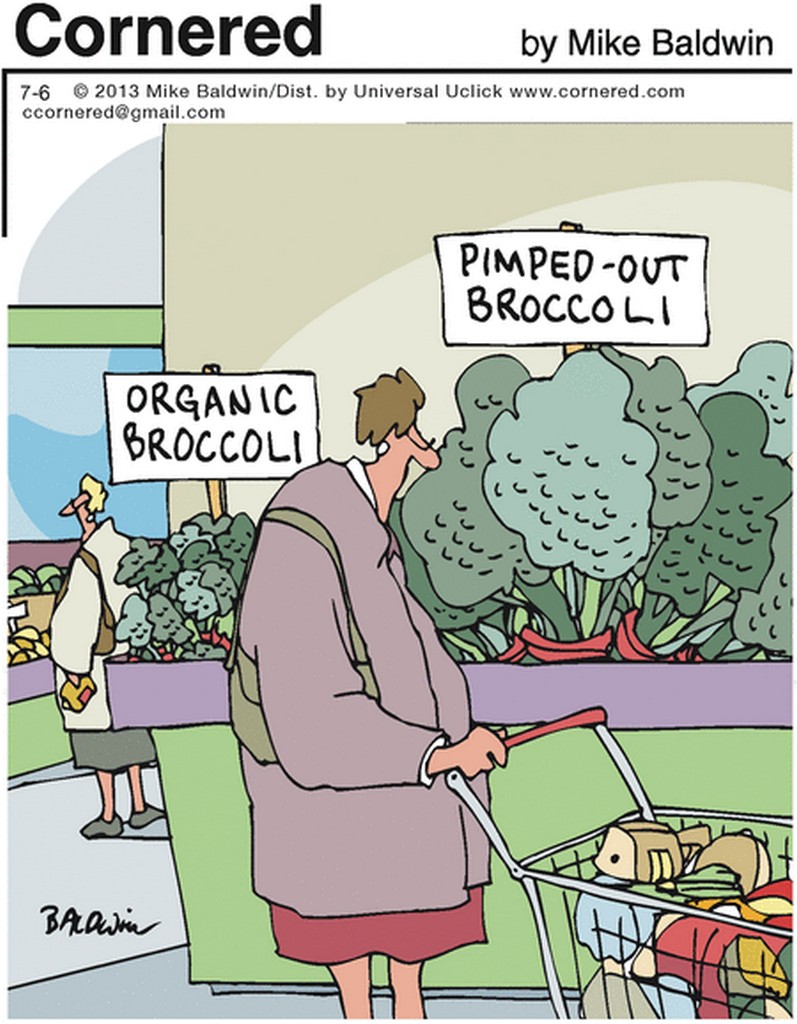 Chuck's Fun Page 2: Six Cornered cartoons