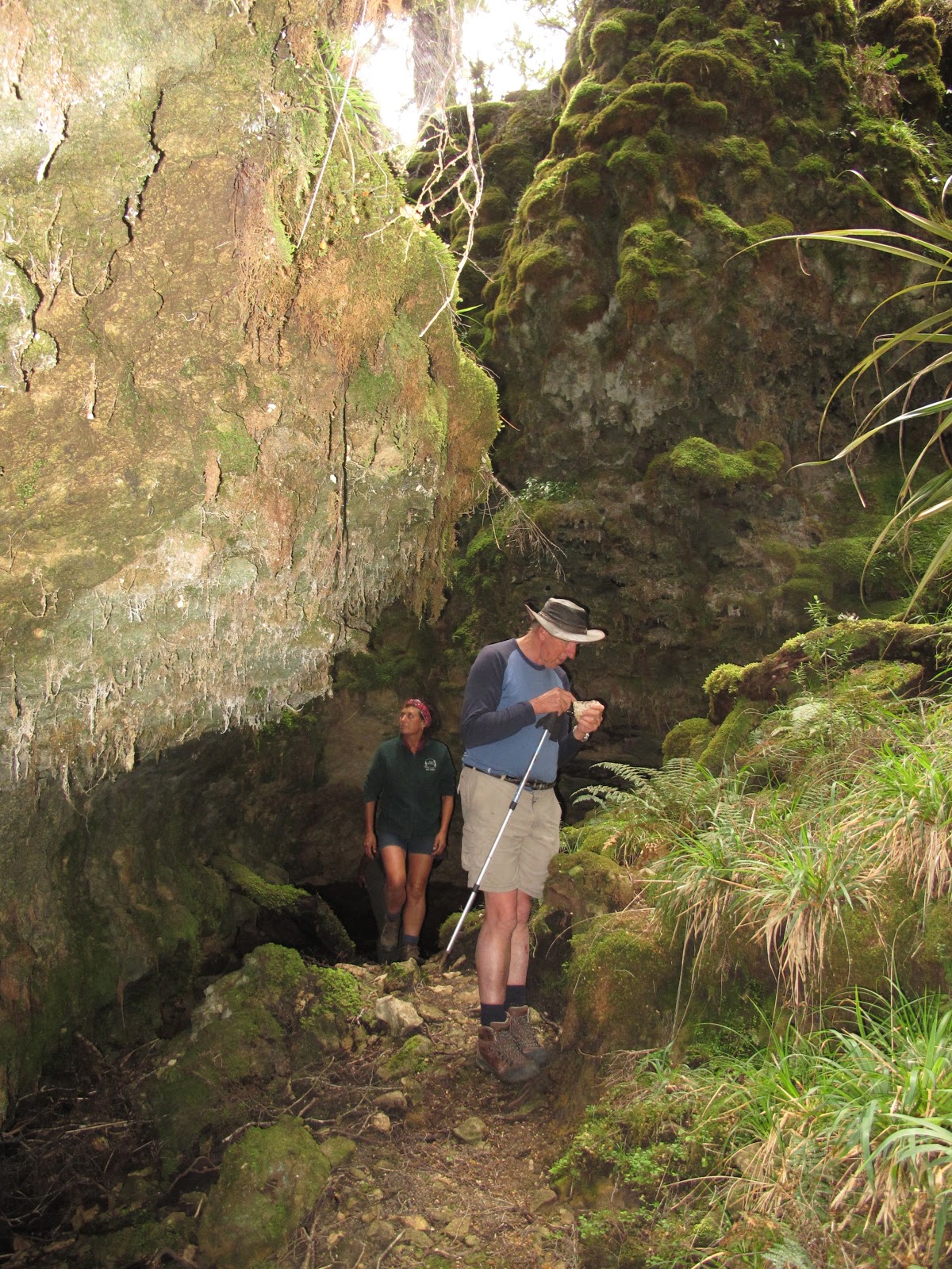 Come, walk with me.: Heaphy Track - day 2 Gouland Downs hut to Saxon Hut