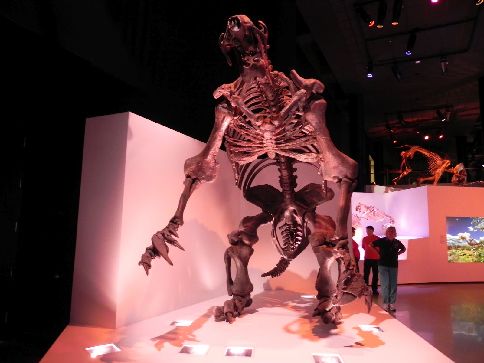Mean Green Cougar Red: The new paleontology exhibit at HMNS