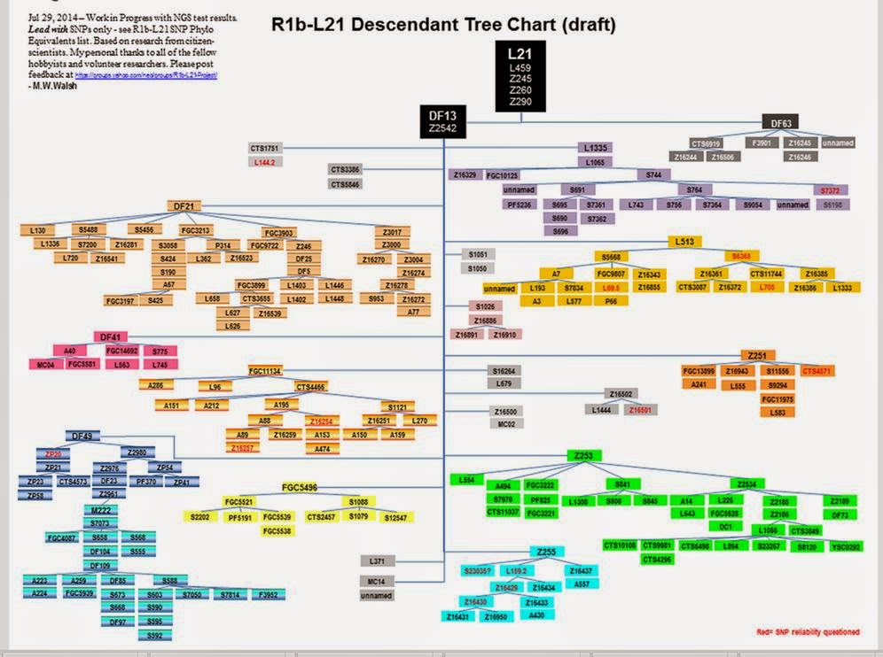 Dr D Digs Up Ancestors: March 2016