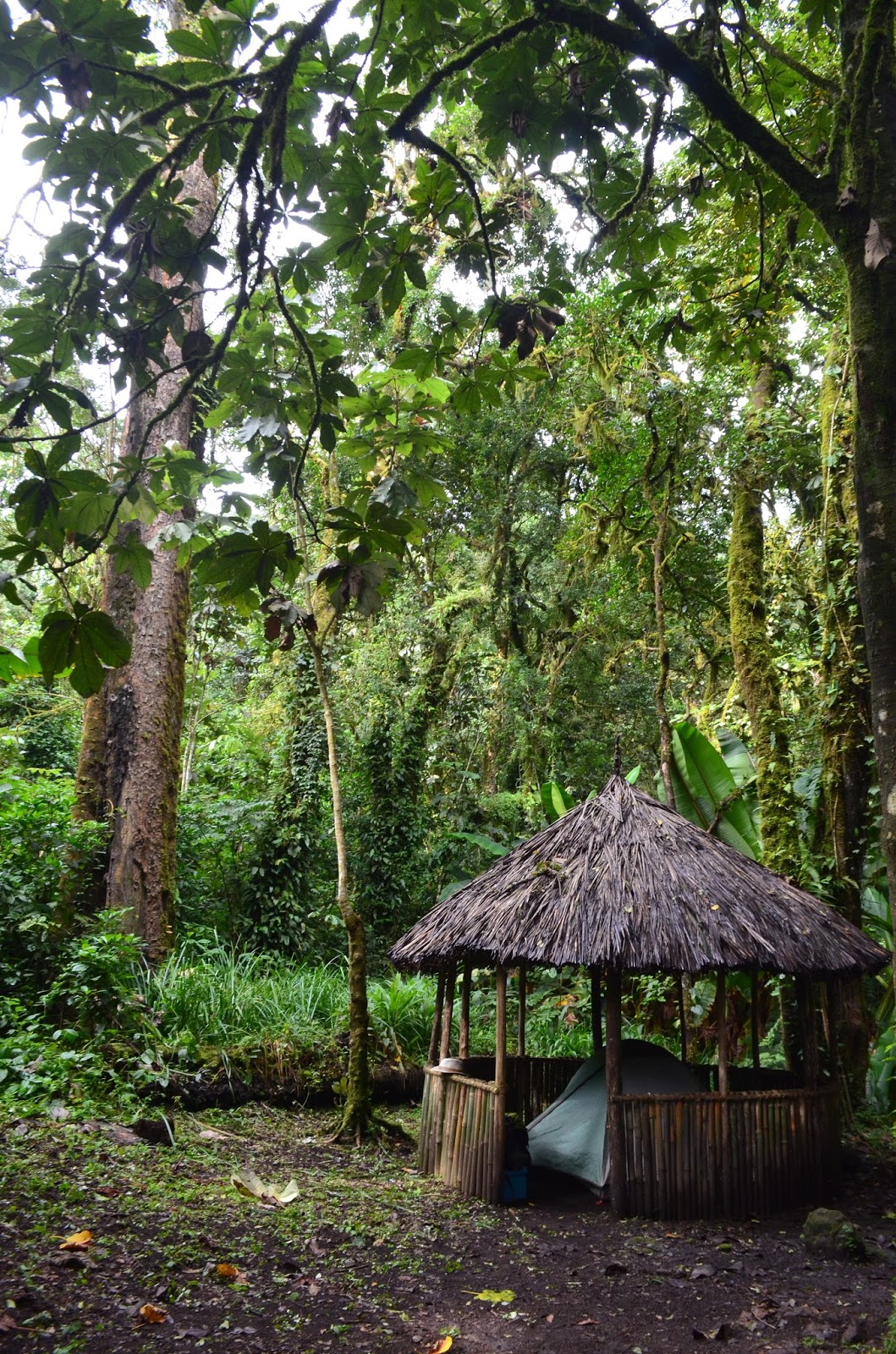 Times in Tanzania: Mt. Rungwe