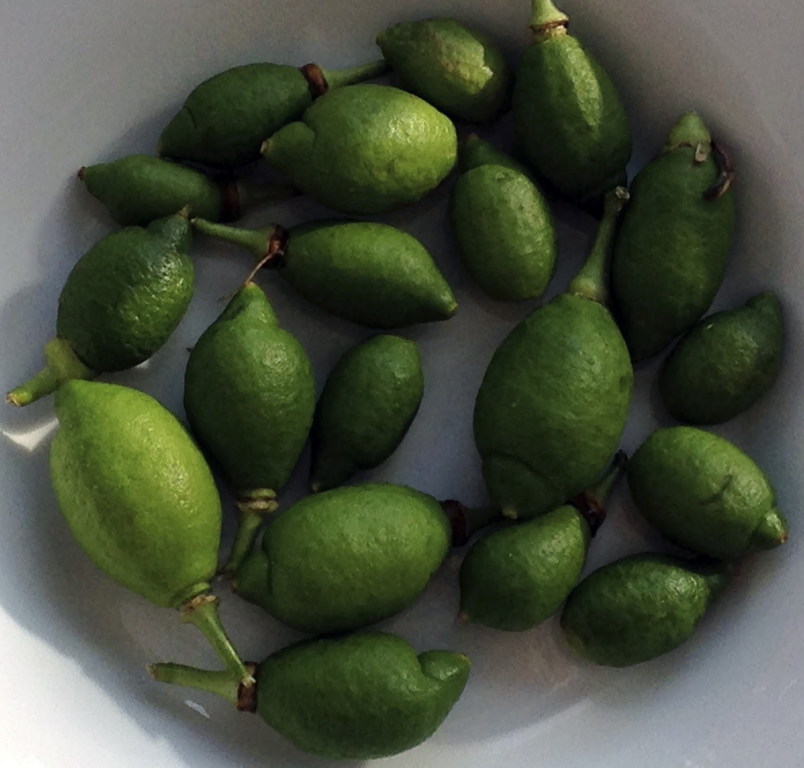 Food History Jottings: To Preserve Green Oranges