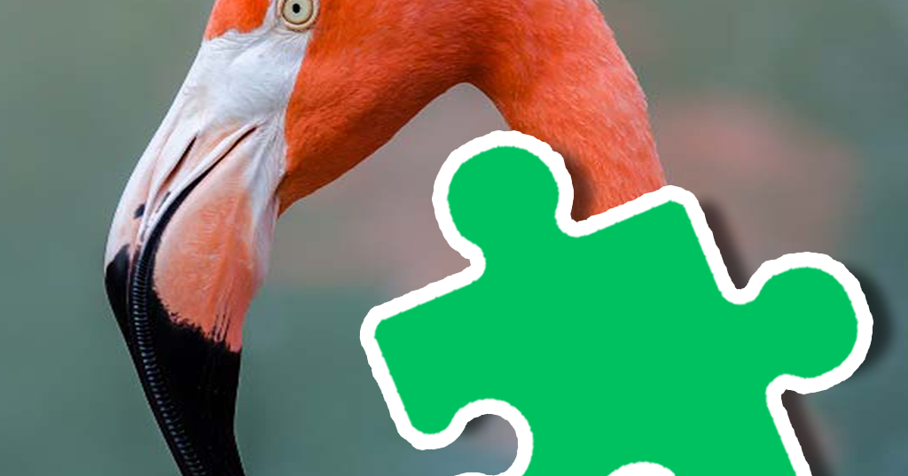 Flamingo Jigsaw Puzzles For Kids Educational