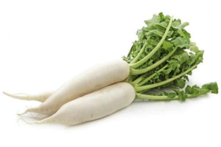 ANPP Animales y Plantas de Perú: Nabo - Brassica campestris L. ssp. rapa