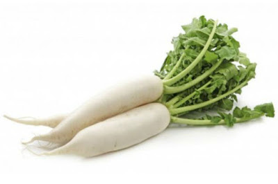 ANPP Animales y Plantas de Perú: Nabo - Brassica campestris L. ssp. rapa