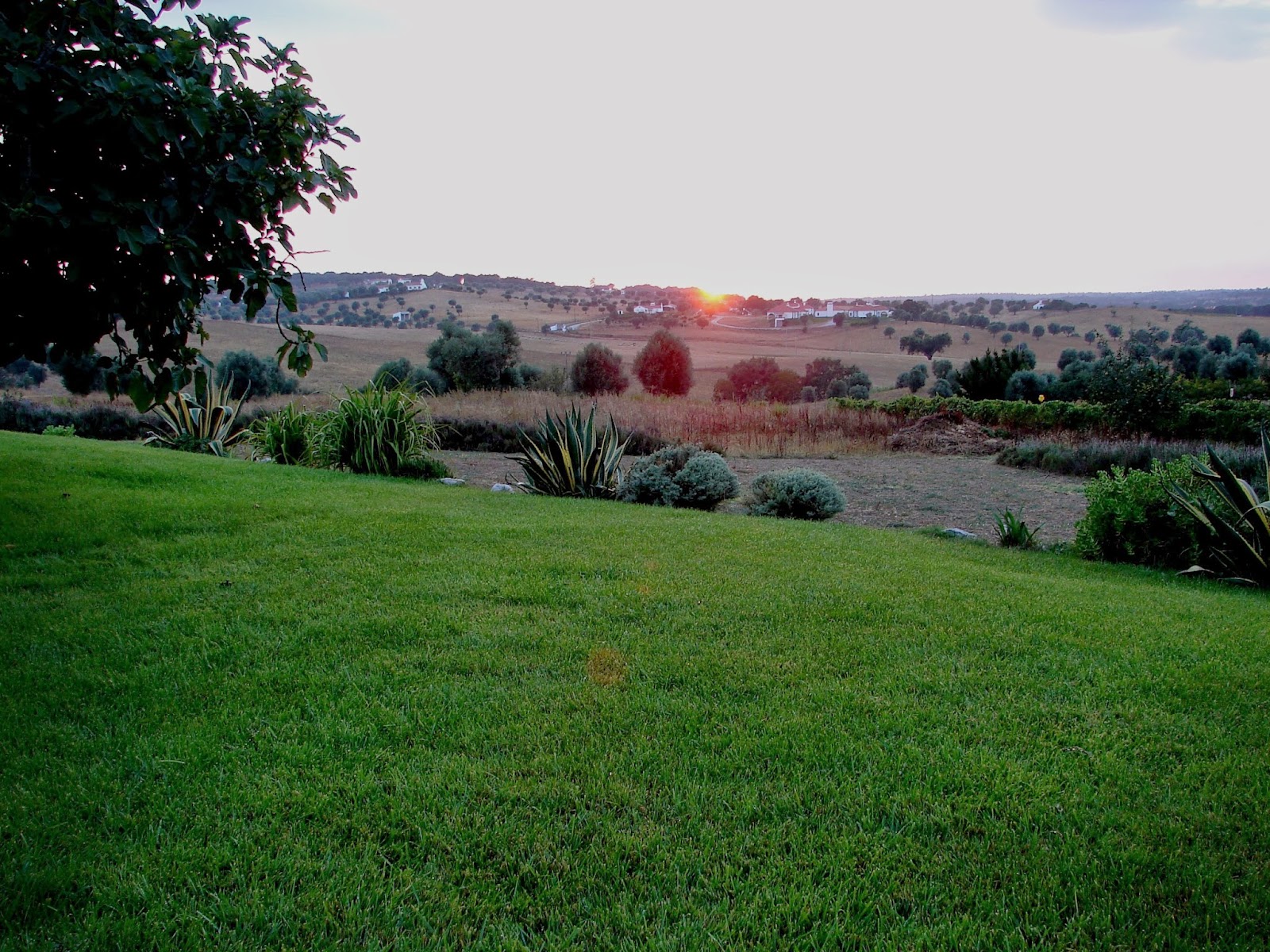 Bolotas guardadas: RELVADOS