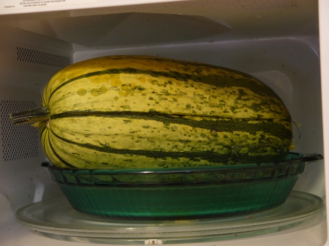 Clockwatching Tart: Stripetti Squash with Sage and Rosemary