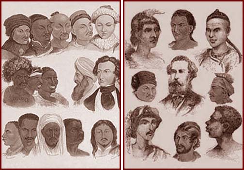 El jinete insomne: La noción de raza a través de la historia (1). Nota ...