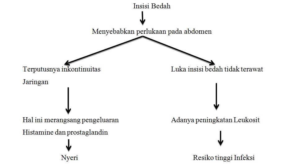 keperawatan: Laporan Pendahuluan Post Op Laparatomi