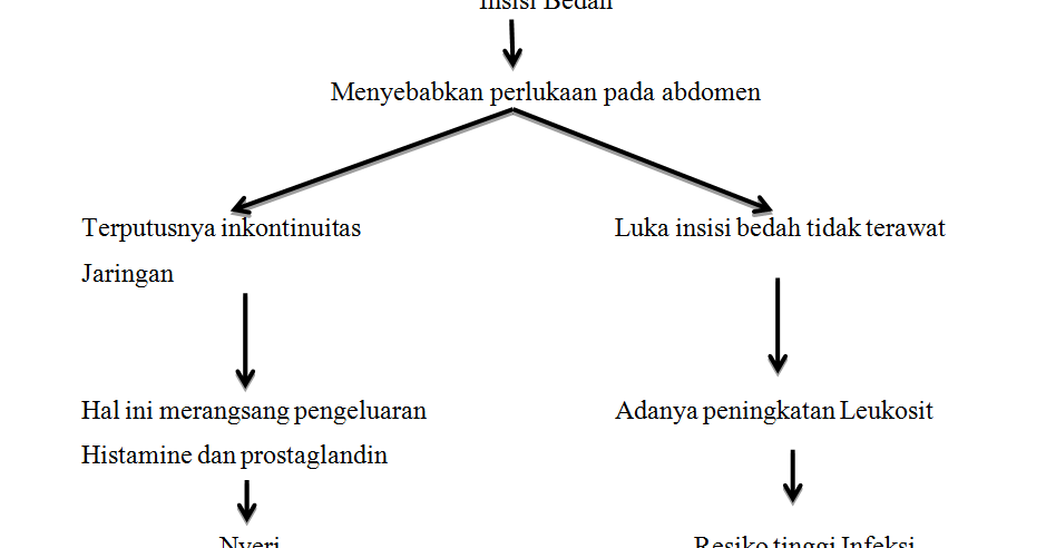 keperawatan: Laporan Pendahuluan Post Op Laparatomi