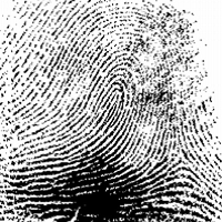 Forensics Blog: Fingerprinting: Shapes/Patterns of prints