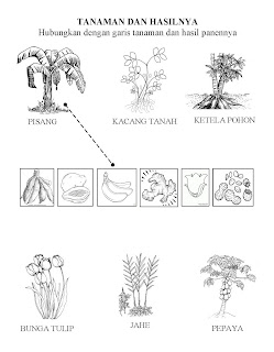 I'm happy now in PAUD: LKS LEMBAR KERJA SISWA TEMA TANAMAN 2015 ...