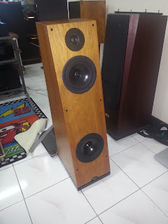Naim Ariva Speaker (SOLD)