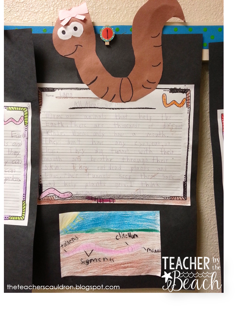 All About Worms! - Teacher by the Beach