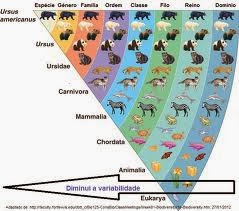 Catedra de Biologia: BIOLOGÍA COMO CIENCIA