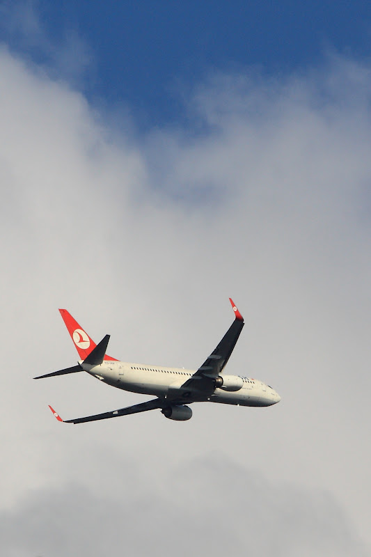 wade's scale models & modest aviation photography: Turkish B737 TC-JGF