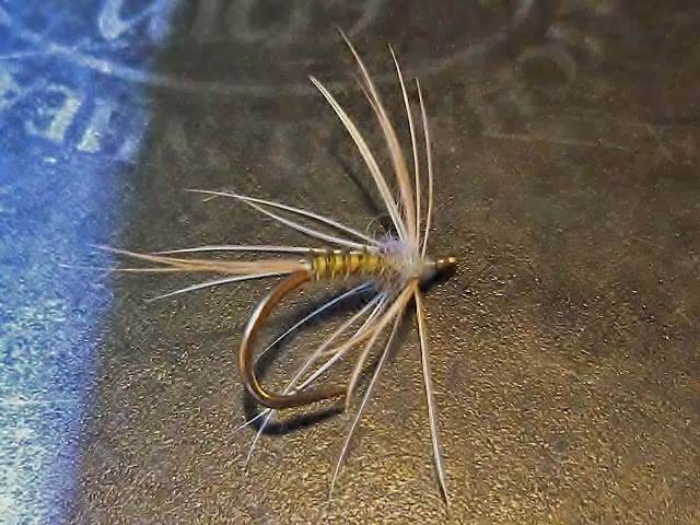 SOFT~HACKLE JOURNAL: Turkey Biot BWO