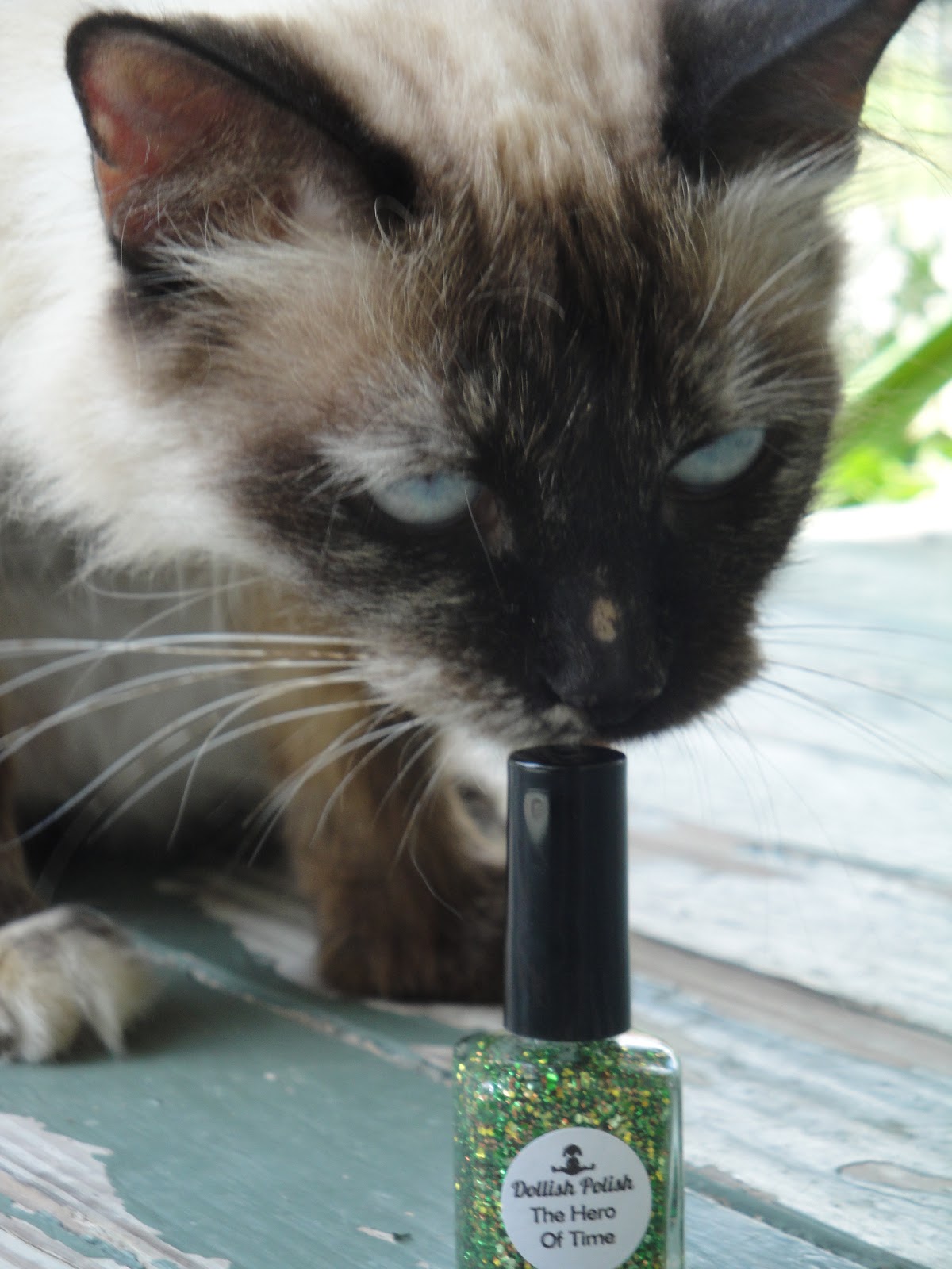 Kitteh and Claws: The Kitteh of Time: Dollish Polish Hero of Time over ...