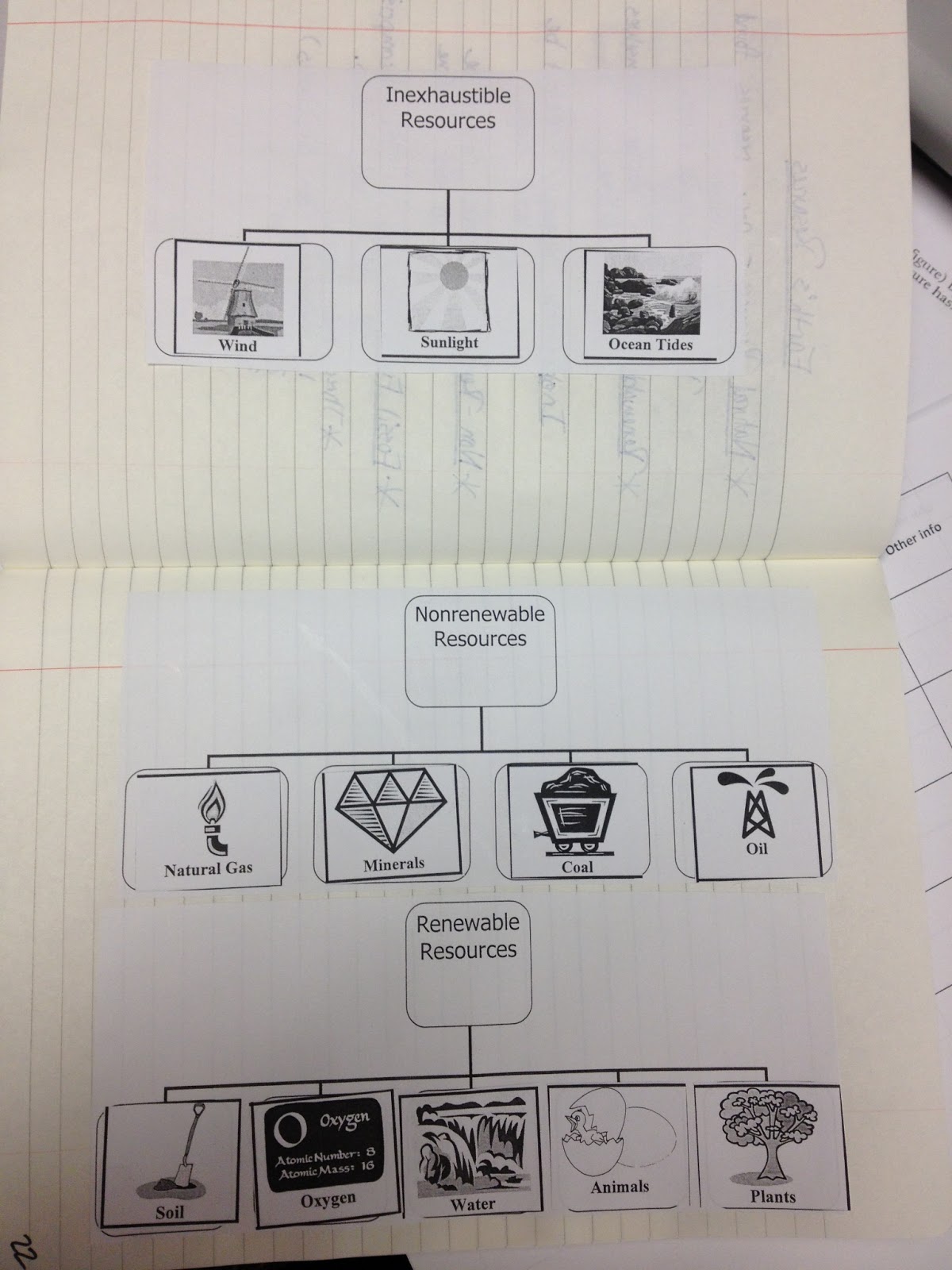 The 4th Grade May-niacs: Our Earth's Natural Resources