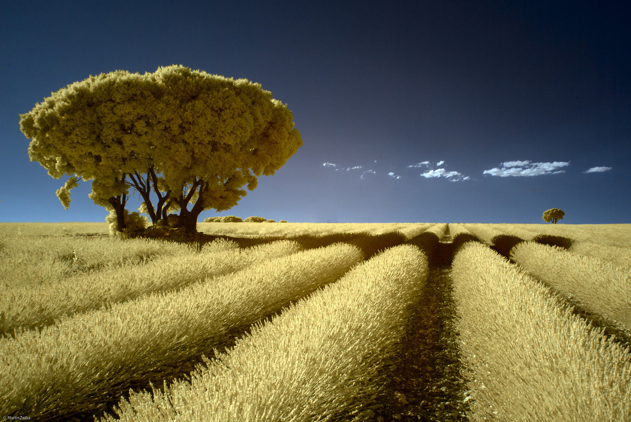 My Life with Functional Neurological Disorder: Edwin Leaves