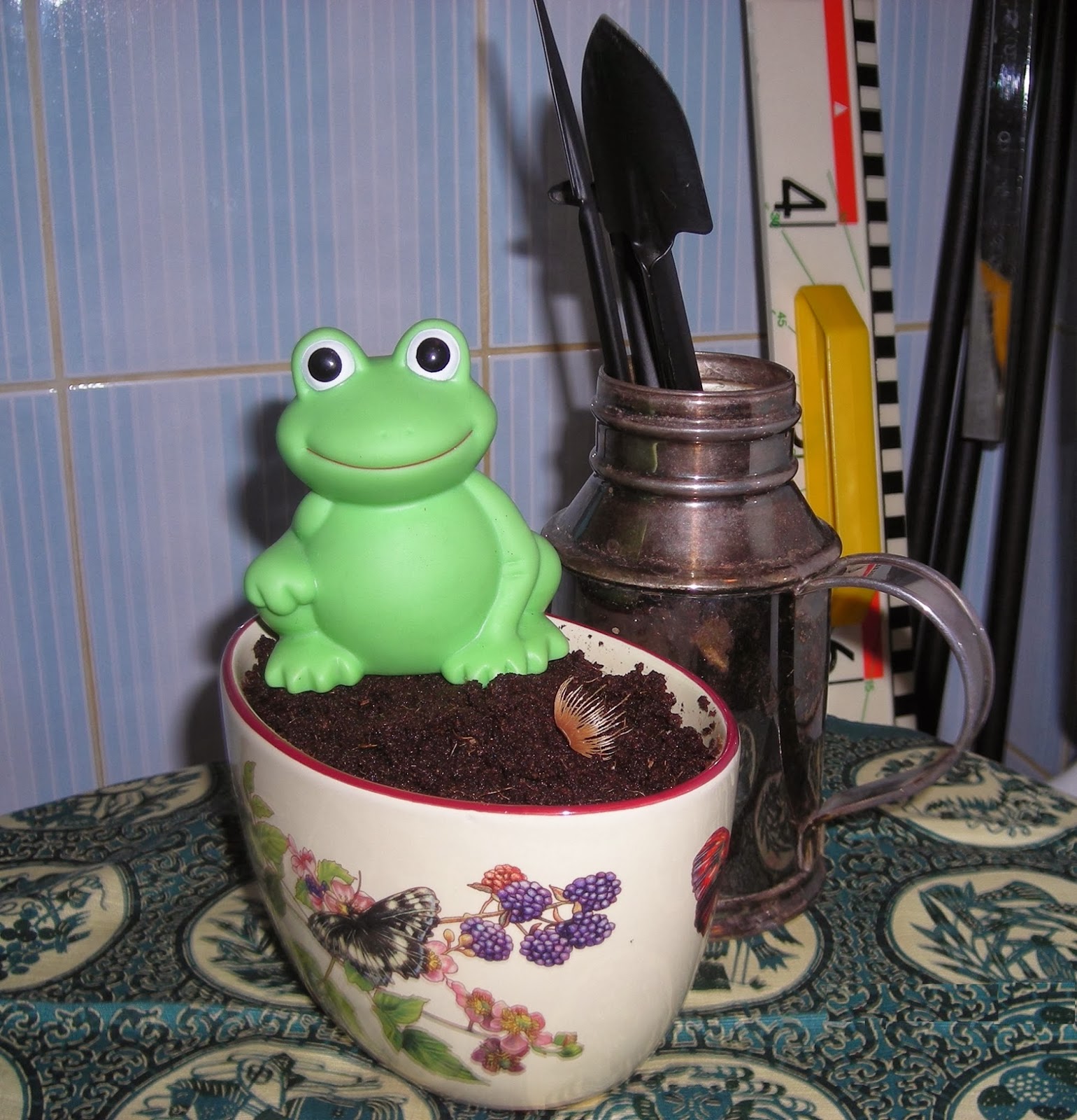 FROGS Without Borders: Frog Planting a Crocus