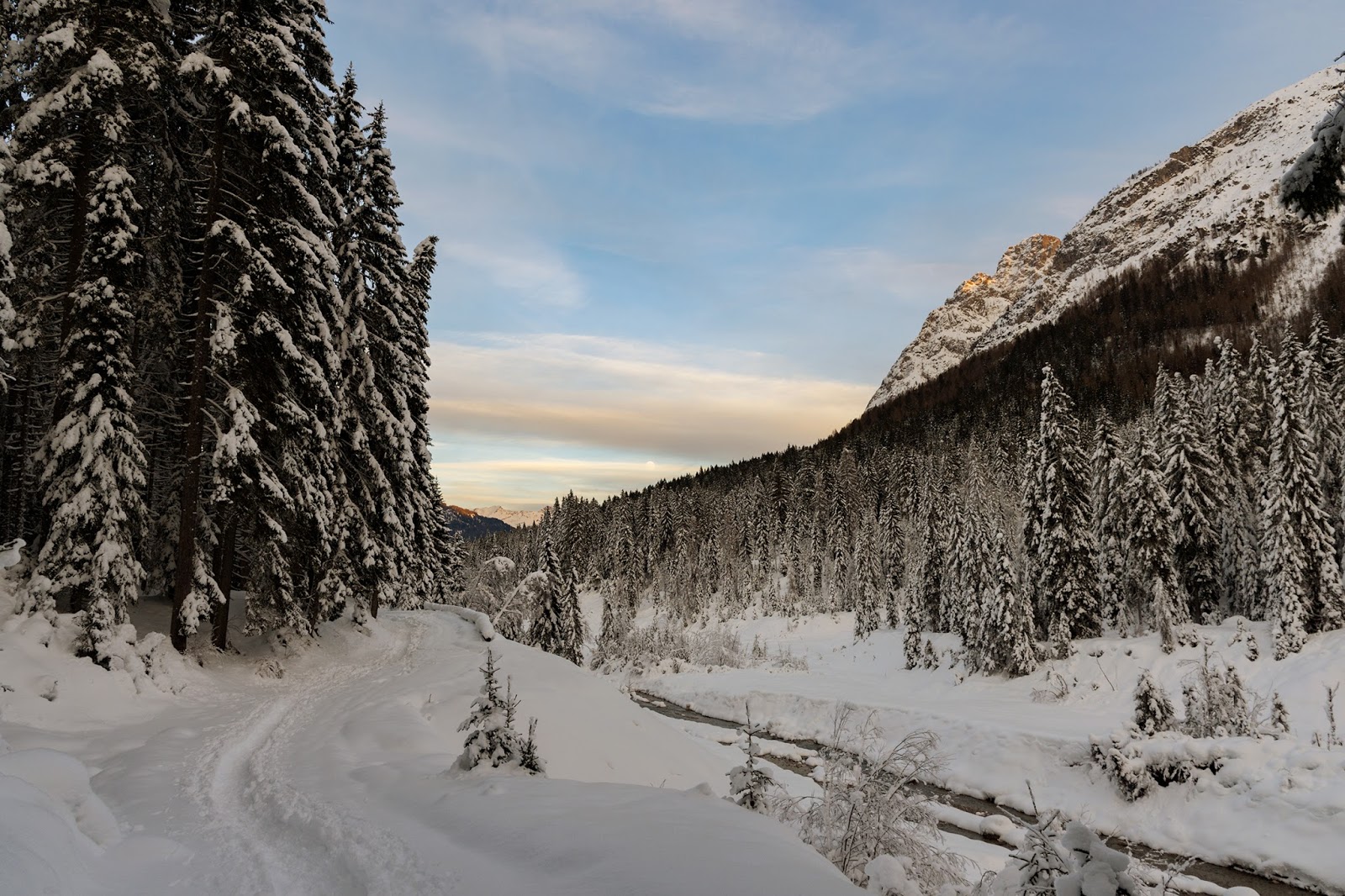 Montagne Sottosopra : Nel bosco della Digola