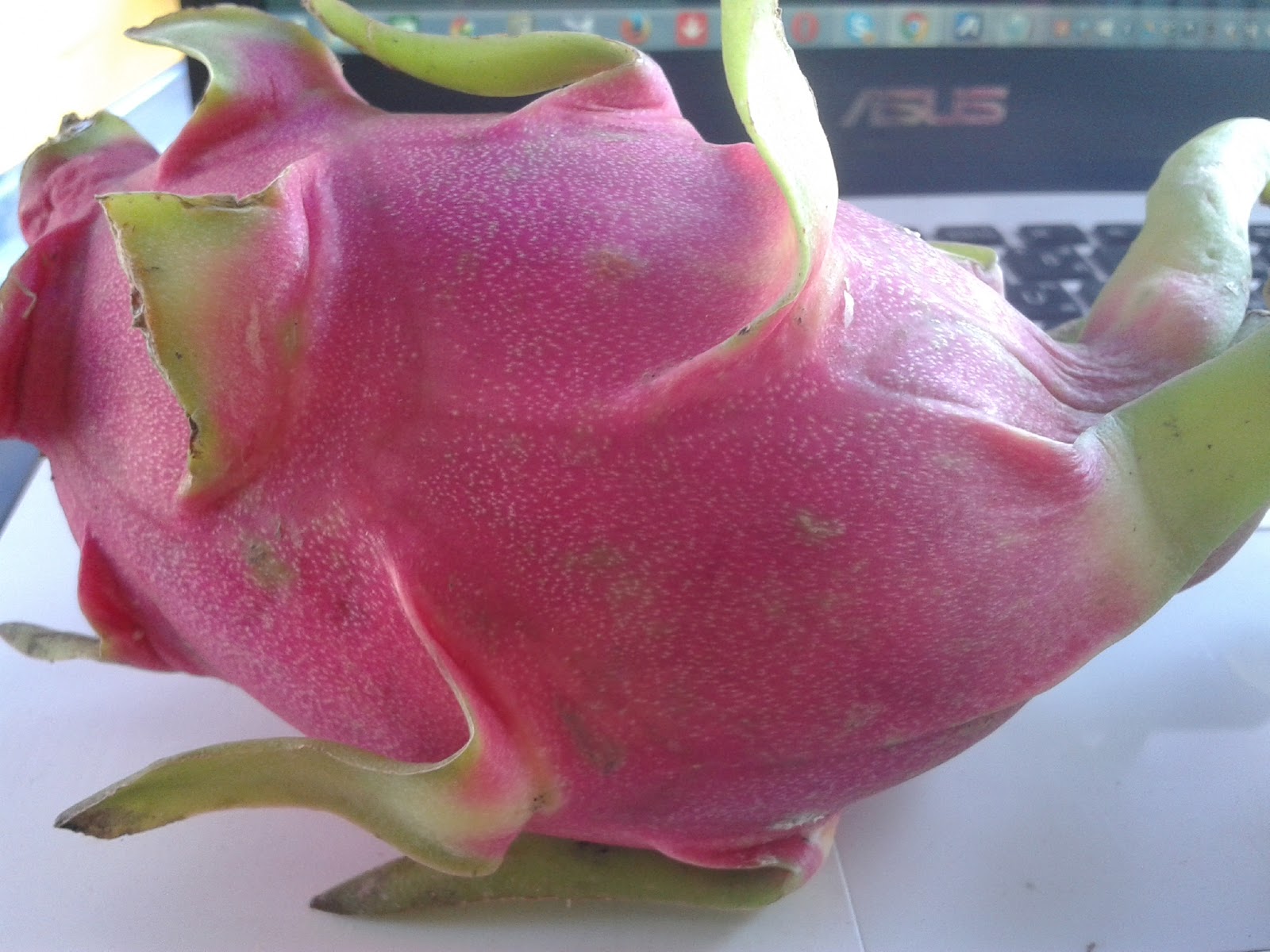 Red Dragon Fruit Peel Benefits - Aerk Dragon Fruit