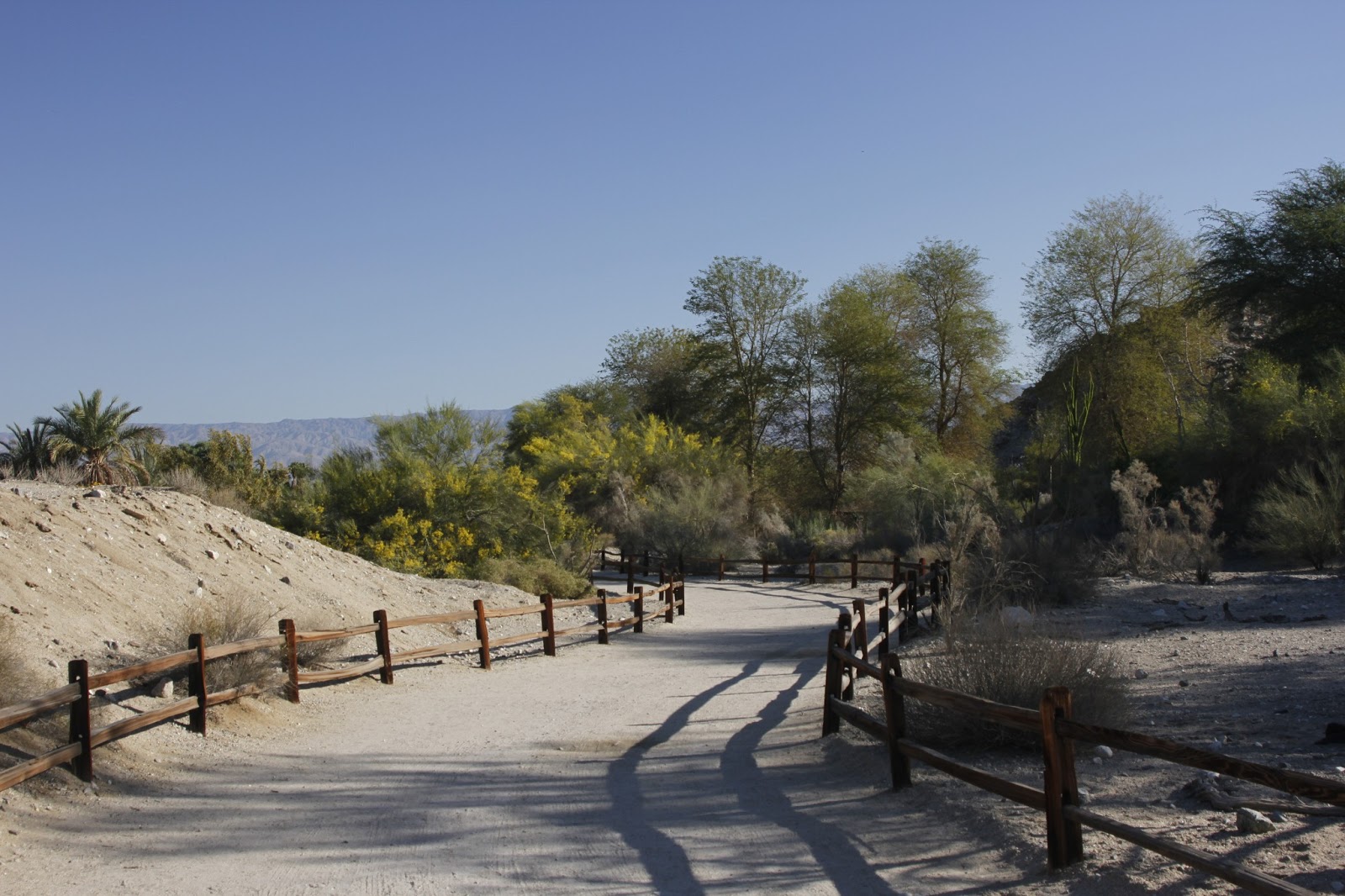 Deserts and Beyond: Desert path~Friday's Fences~040513