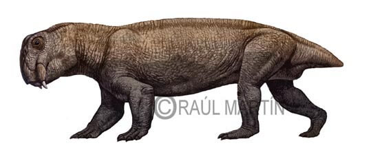 Mundo Pré-Histórico: Sinápsidos (Synapsida)