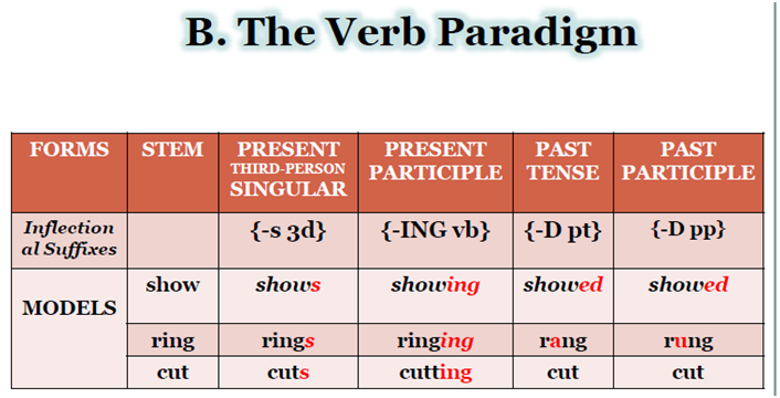 Dr. Shadia Y. Banjar: LANE 333 - Inflectional Paradigms