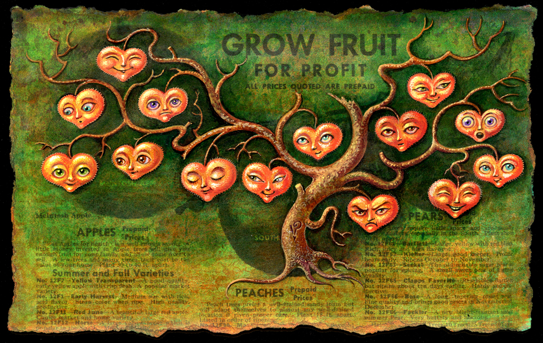 Oddments & Curiosities: J is for Jinmenju