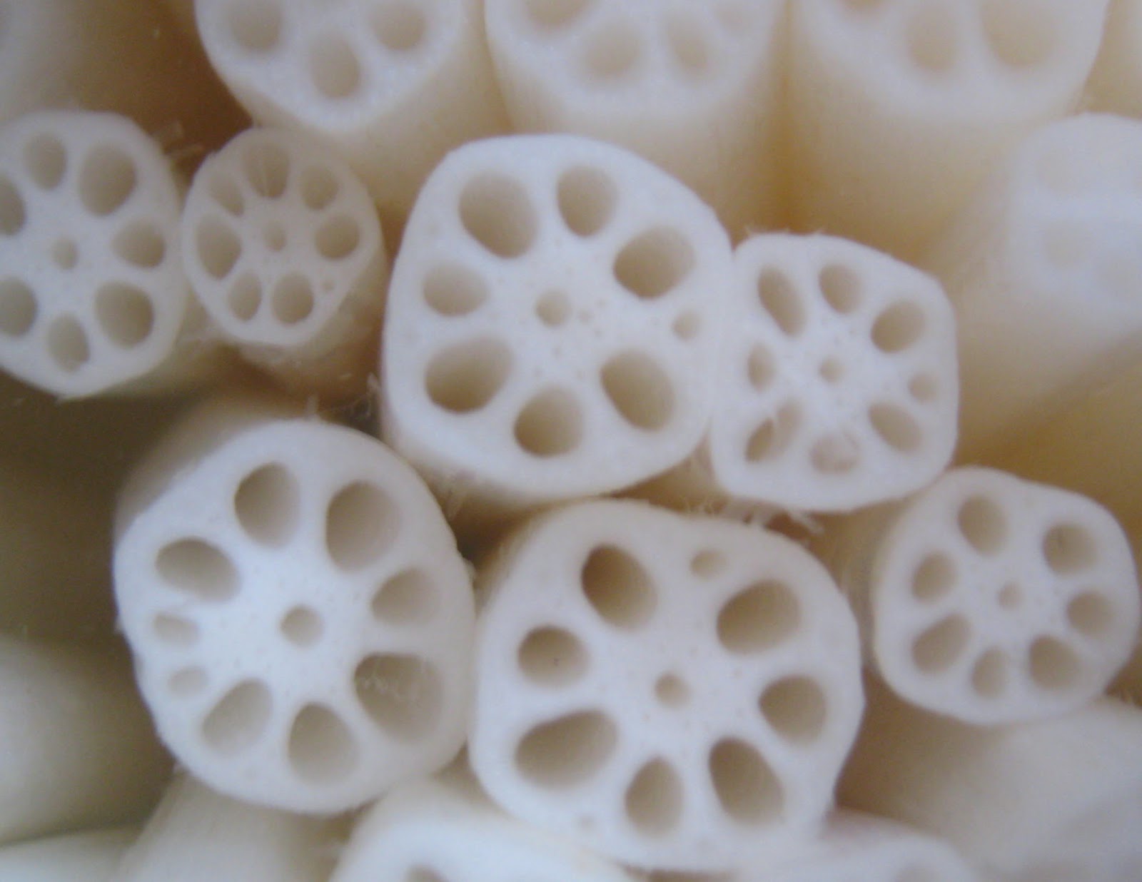 Pickled Lotus Root or Why I heart… – Hella Delicious Food