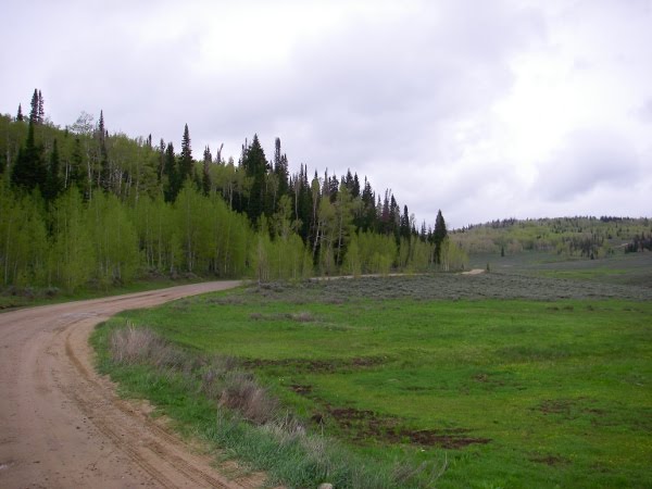 Utah Water Log: Miller Flat Road