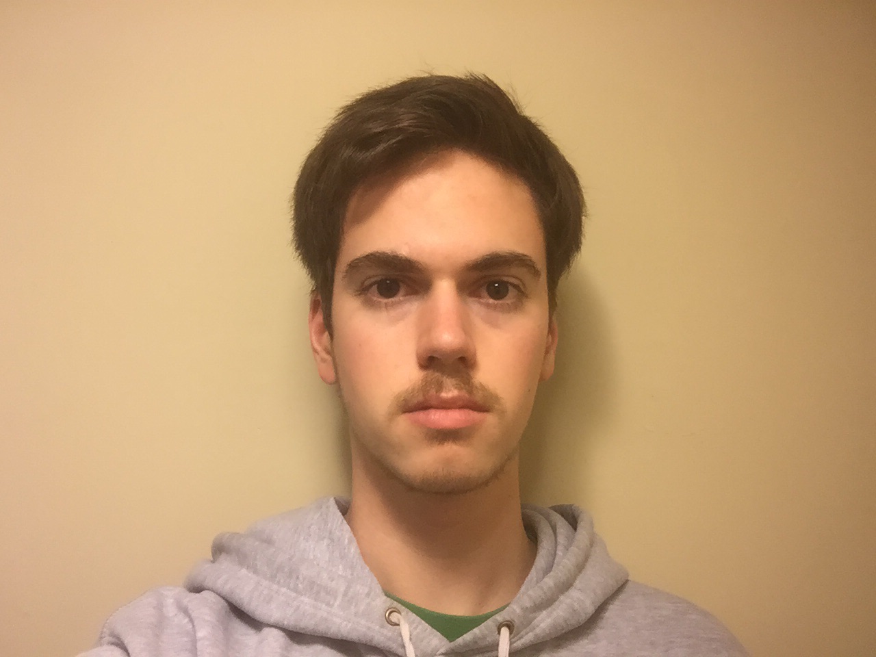 ART 3170 Civic Engagement: Social Issues "Action" Project: False ...