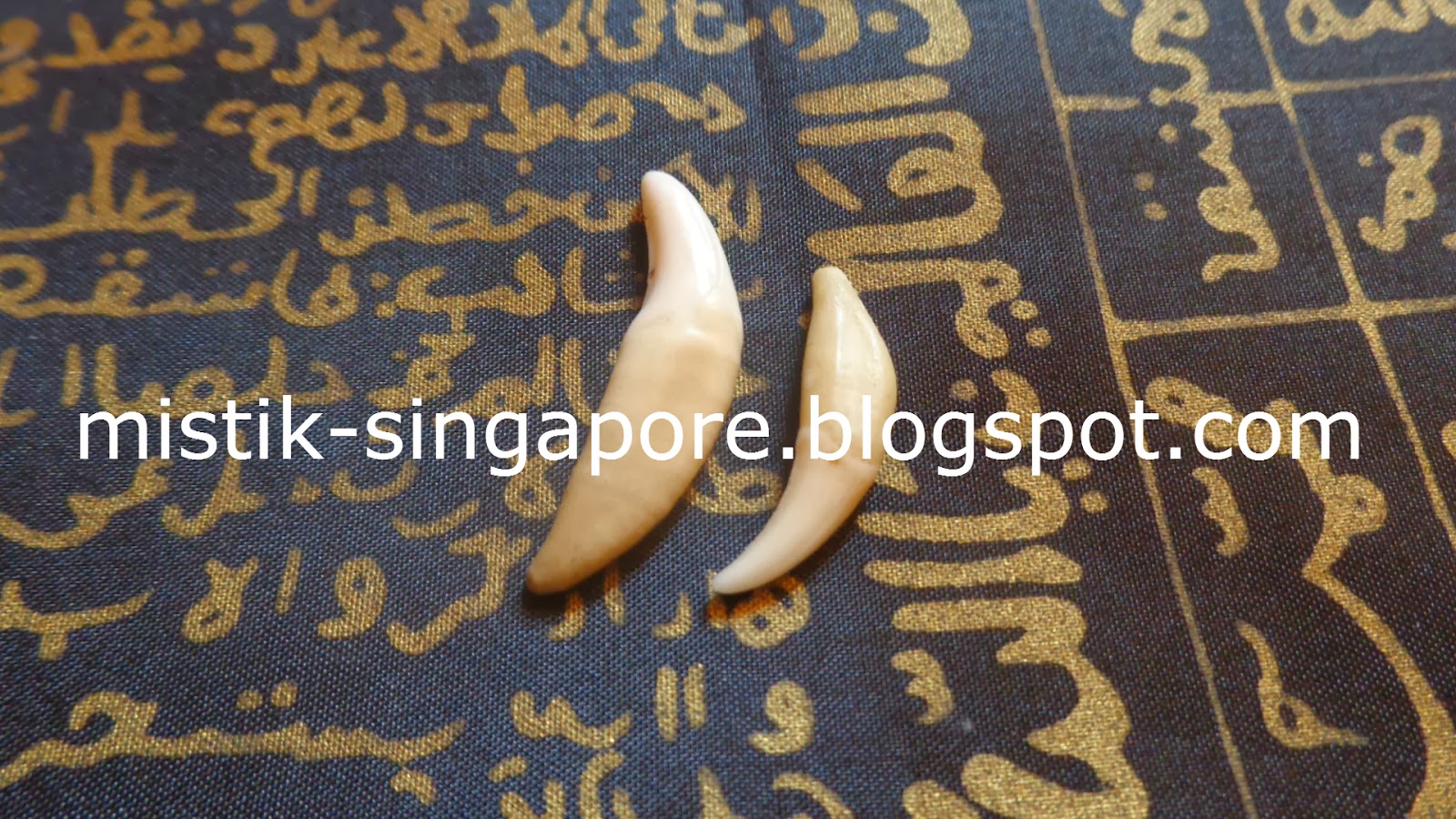 Mystical item: Taring Harimau Muda ( Sold out )