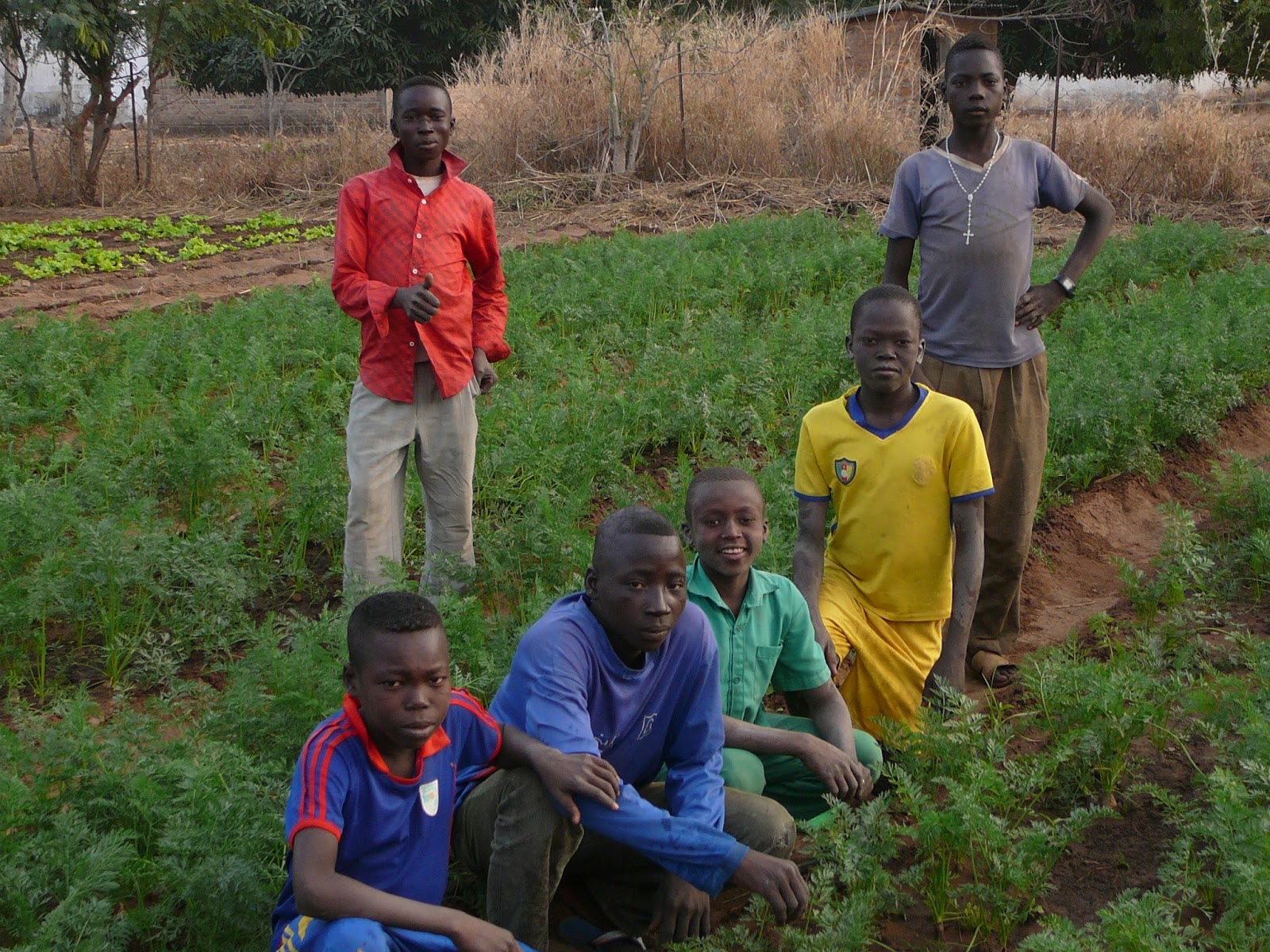 Informe del Proyecto Badjé, Chad (Entretejiendo-Pala)