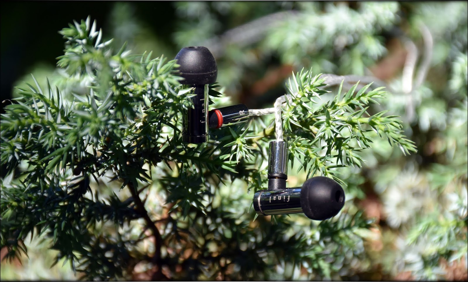 final E5000 - Reviews | Headphone Reviews and Discussion - Head-Fi.org