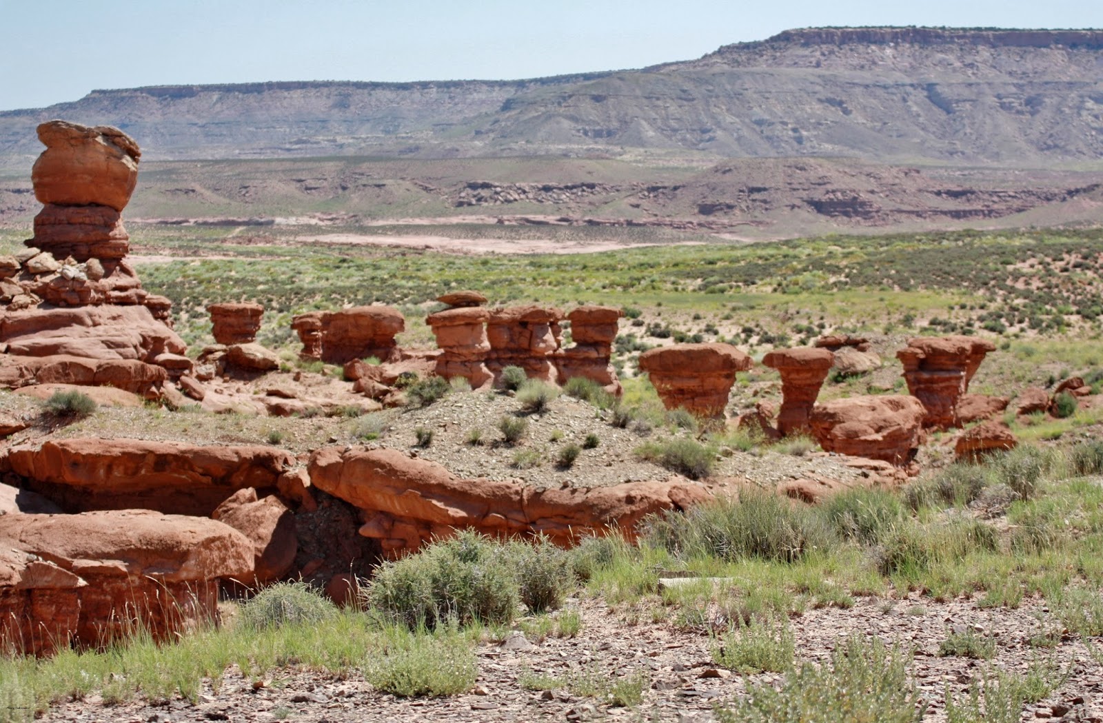 The Southwest Through Wide Brown Eyes: Recapture Pocket, a Hoodoo ...