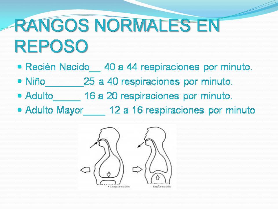 Primeros Auxilios: RANGOS NORMALES DE LOS SIGNOS VITALES