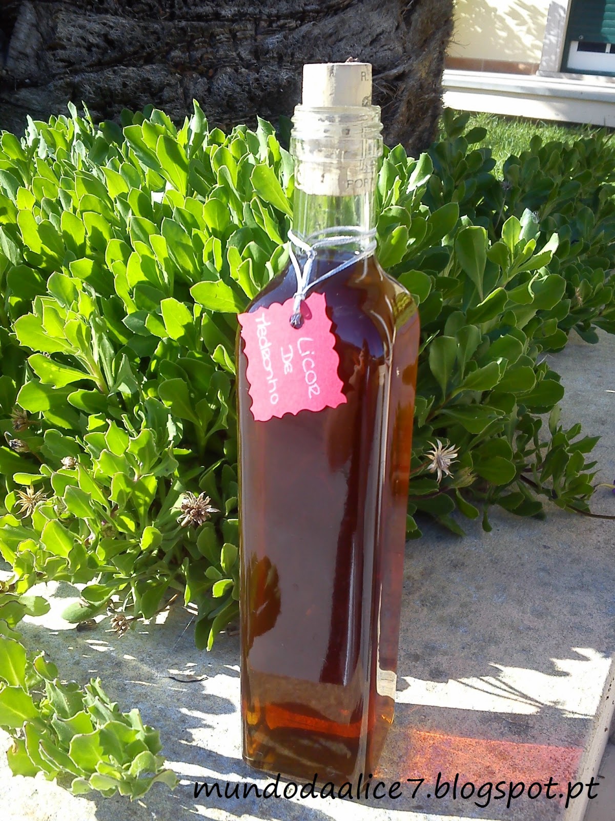 Mundo da alice: Licor de medronho