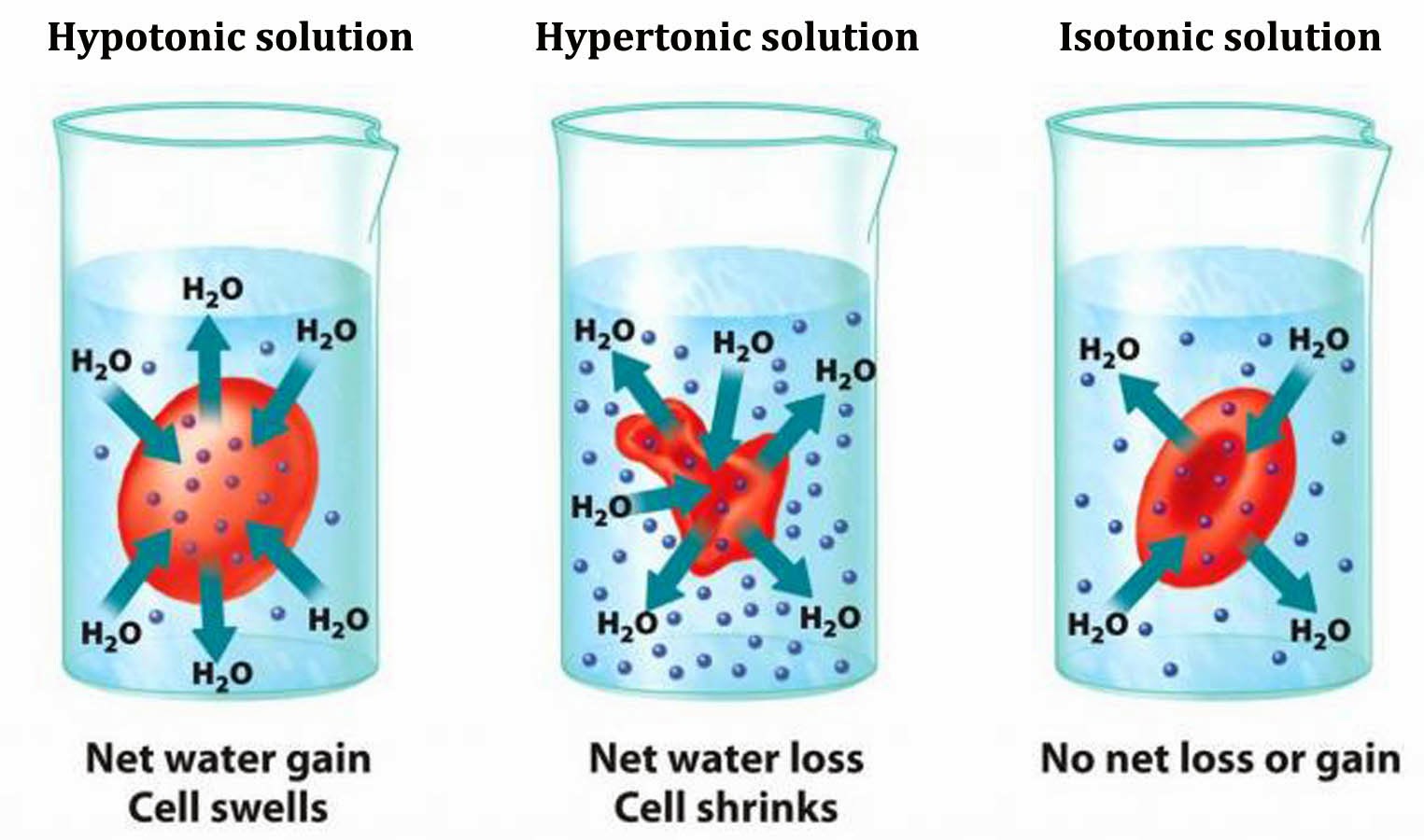 As Many Exceptions As Rules: It’s Not Just Chili Peppers That Are Hot