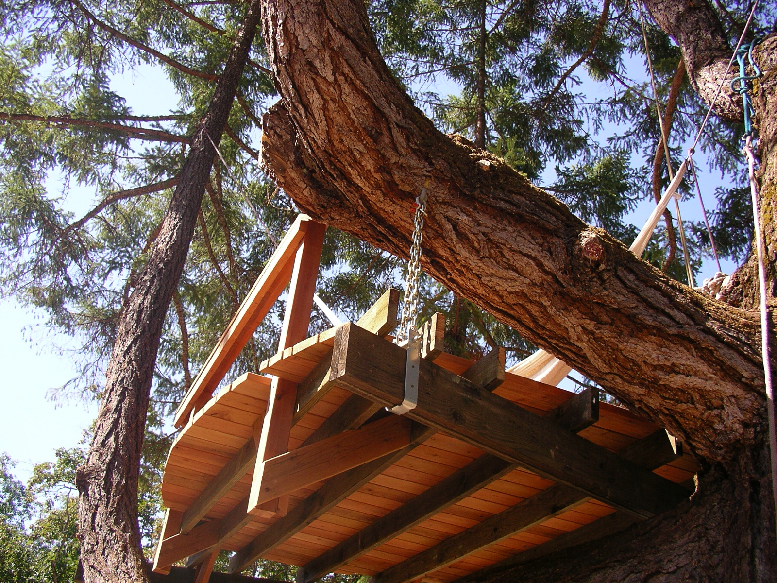Priority Tree: Suspended Tree House, (deck)