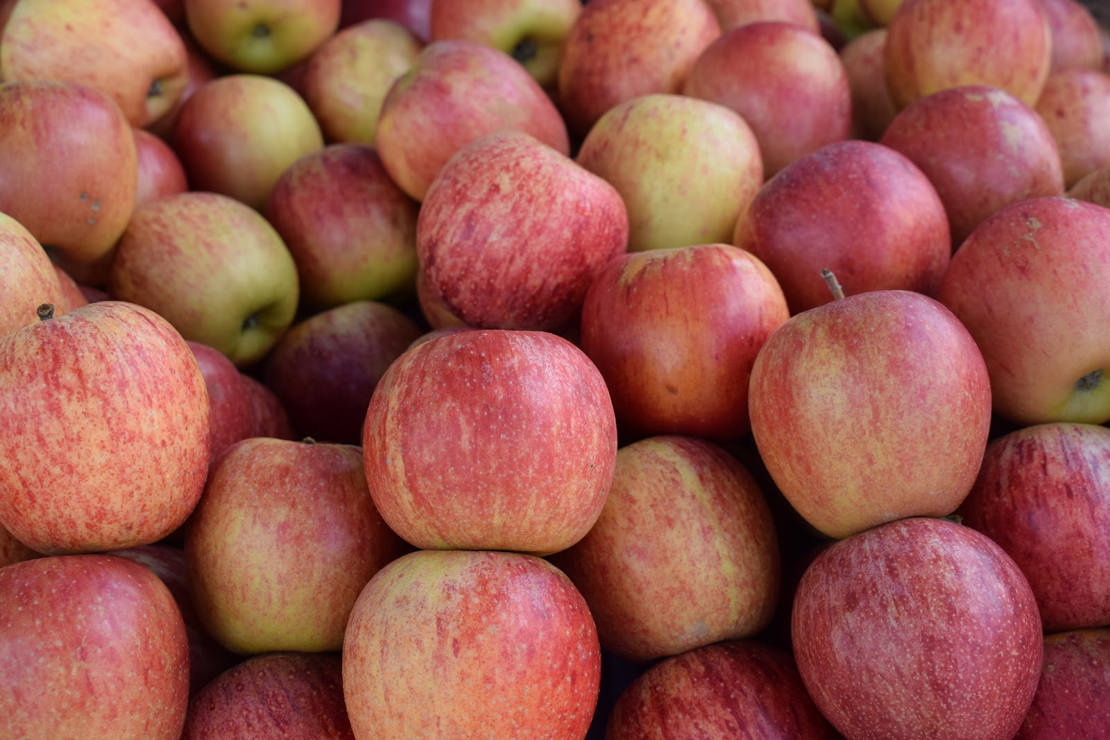 Confira as frutas sazonais do mês de março e escolha as melhores opções ...