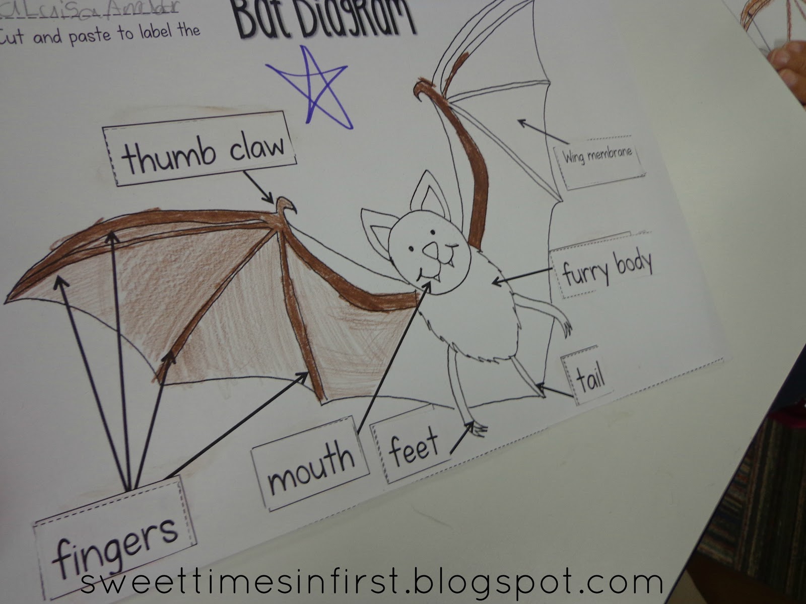 Sweet Times in First: Week FULL of Bats and Spiders!